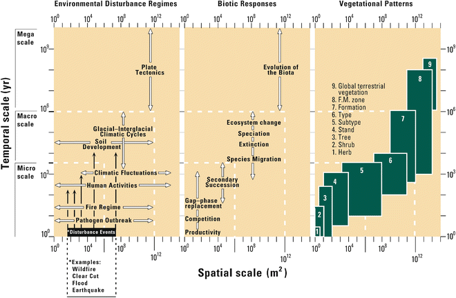 Introduction to Landscape Ecology and Scale | SpringerLink