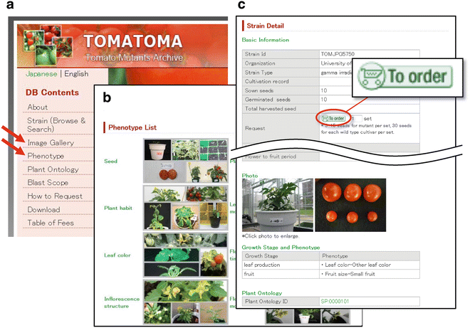 Micro-Tom Tomato as an Alternative Plant Model System: Mutant ...