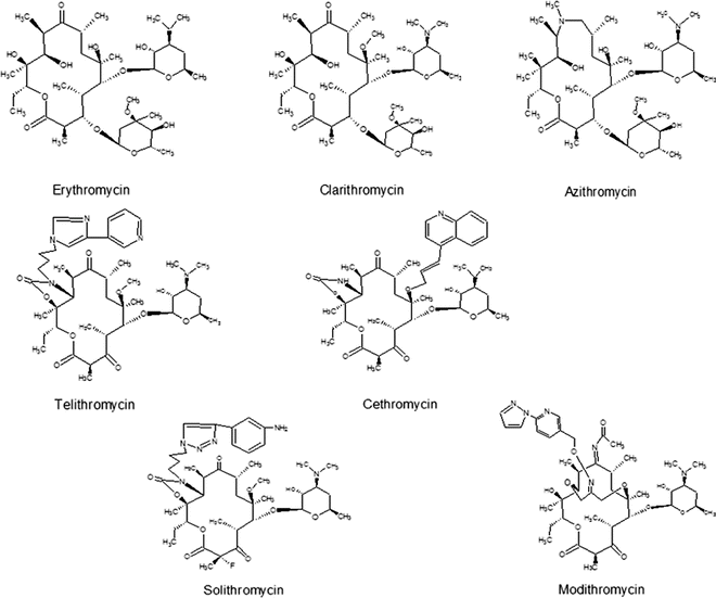 Pharmacodynamics of Macrolides, Azalides, and Ketolides | SpringerLink