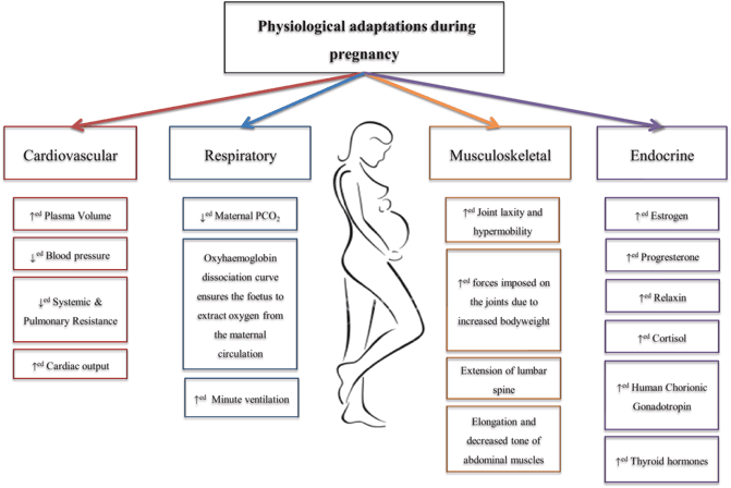 Physical Activity and Pregnancy | SpringerLink