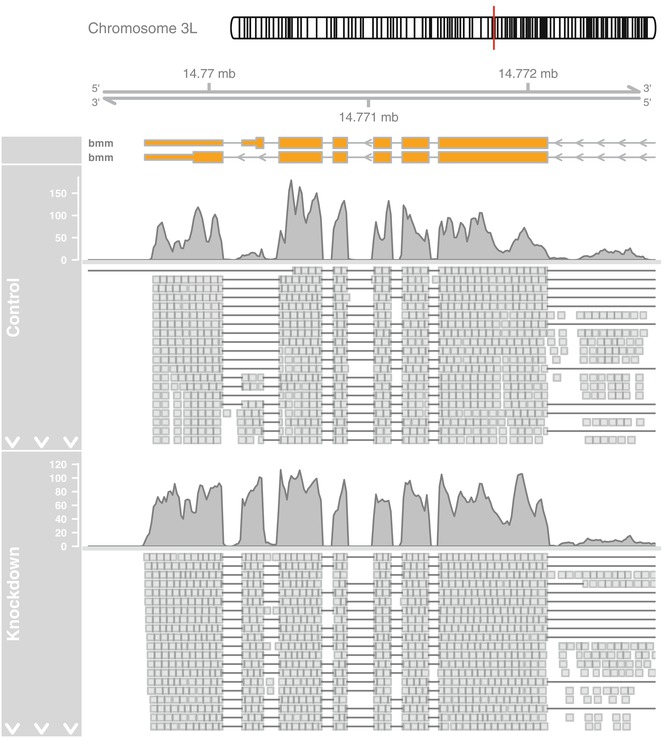 Visualizing Genomic Data Using Gviz and Bioconductor | SpringerLink