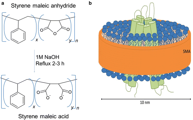 Detergent-Free Membrane Protein Purification | SpringerLink
