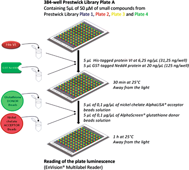 Using AlphaScreen® to Identify Small-Molecule Inhibitors Targeting a ...