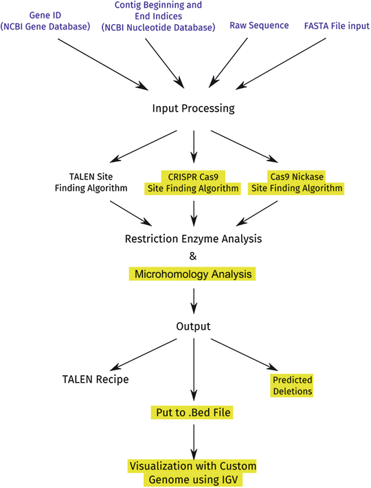 TALEN-Mediated Mutagenesis and Genome Editing | SpringerLink