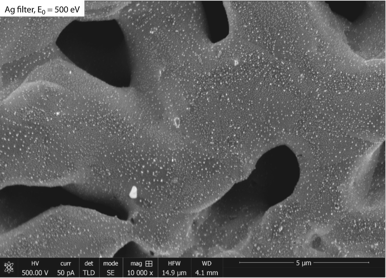 Low Beam Energy SEM | SpringerLink