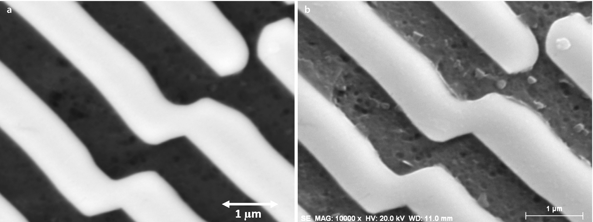 SEM Image Interpretation | SpringerLink