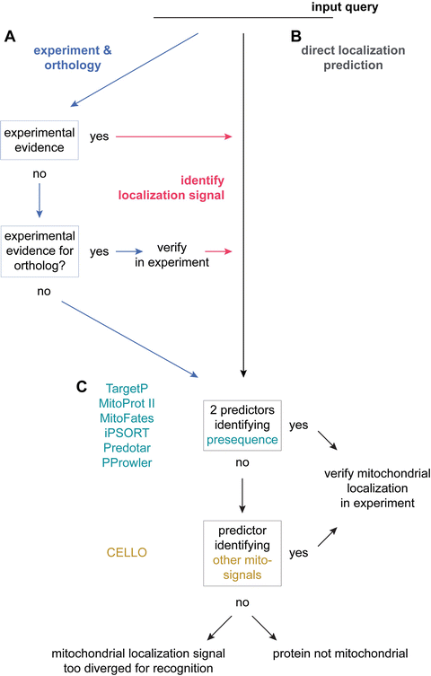 A Guide to Computational Methods for Predicting Mitochondrial ...