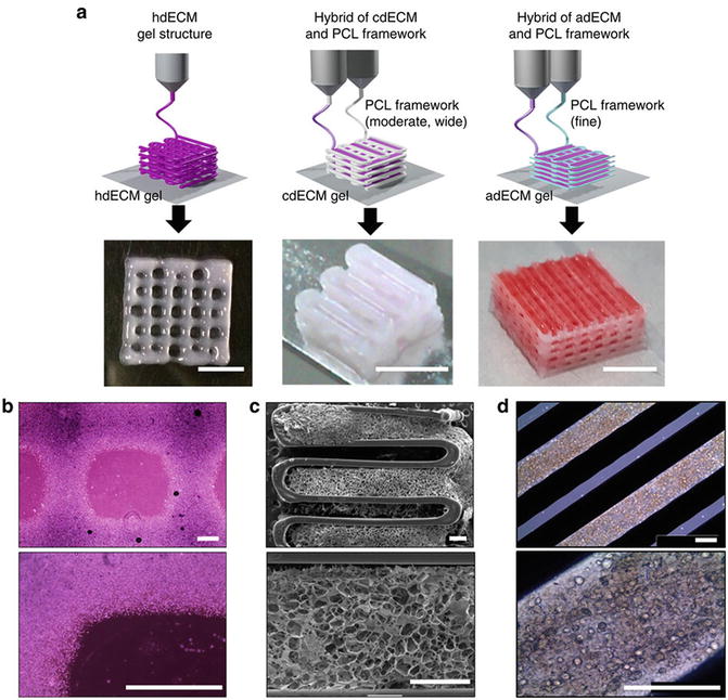Bioprinting of 3D Tissue Models Using Decellularized Extracellular Matrix Bioink | SpringerLink