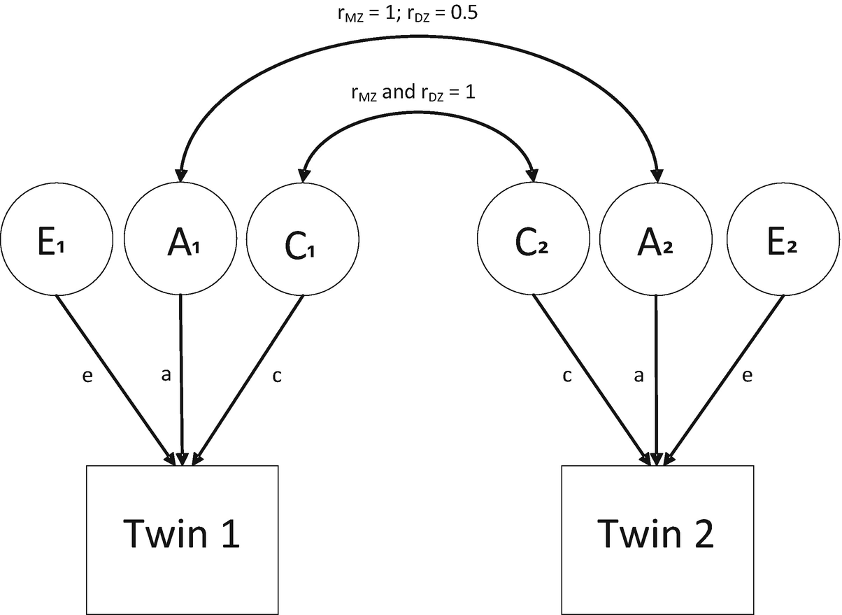 Estimating Heritability from Twin Studies | SpringerLink