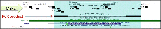 Multiplexed and Sensitive DNA Methylation Testing Using Methylation ...