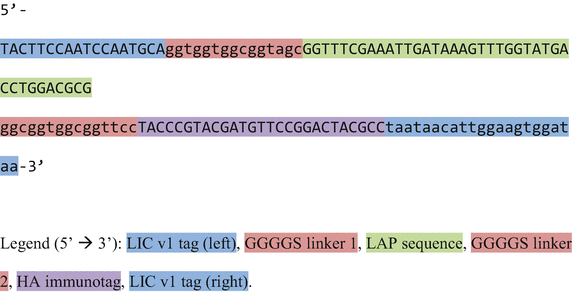 Site-Specific Protein Labeling Utilizing Lipoic Acid Ligase (LplA) and ...