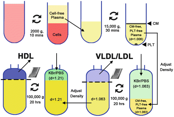 Isolation of Plasma Lipoproteins as a Source of Extracellular RNA | SpringerLink