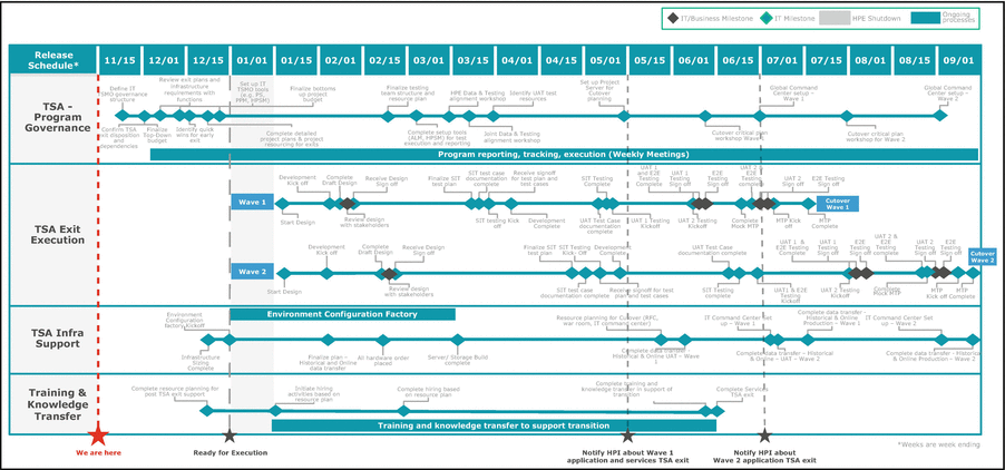 Expediting TSA Exits to Enable Strategic Transformation | SpringerLink