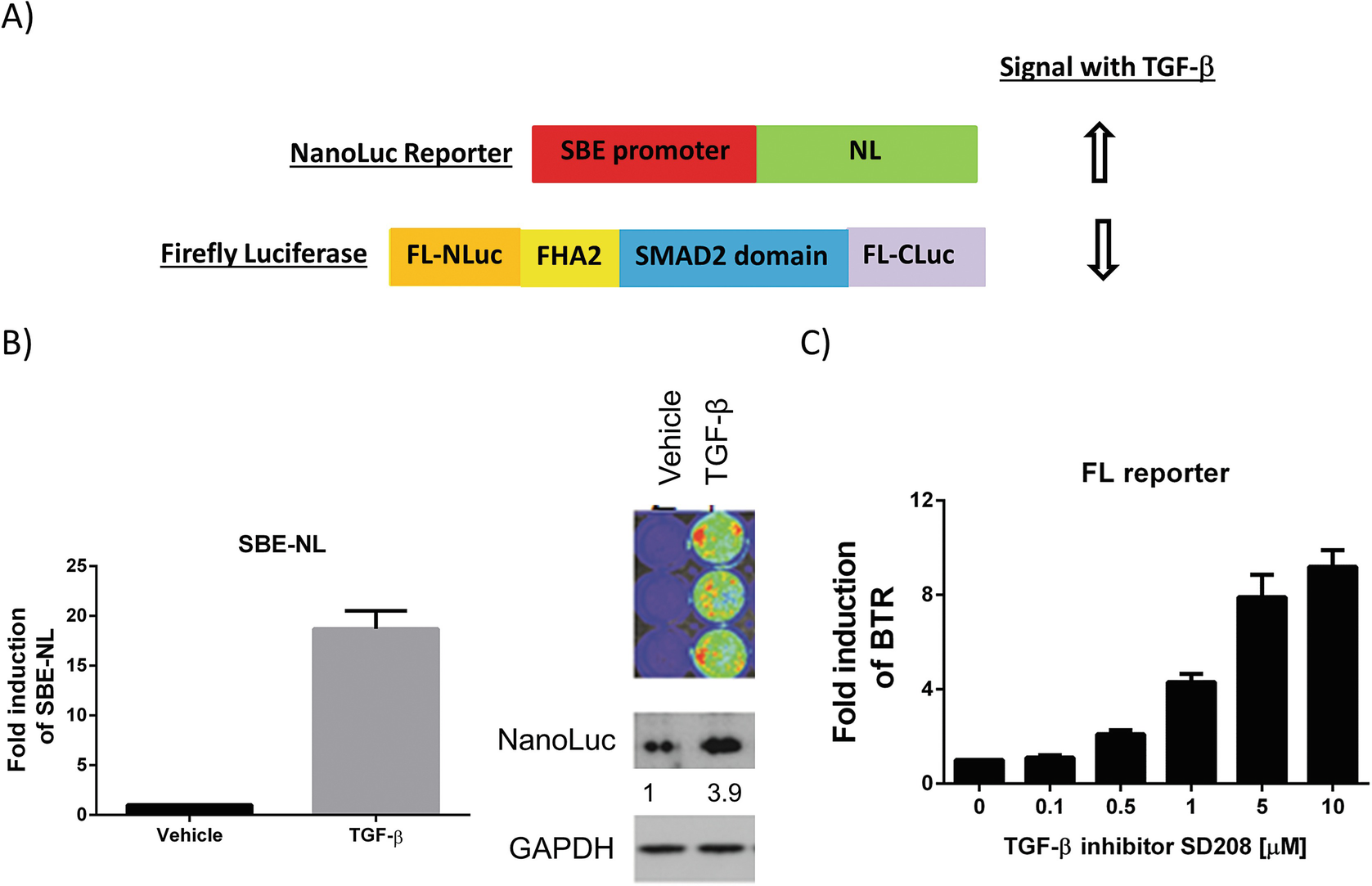 Dual Reporter Bioluminescence Imaging with NanoLuc and Firefly ...