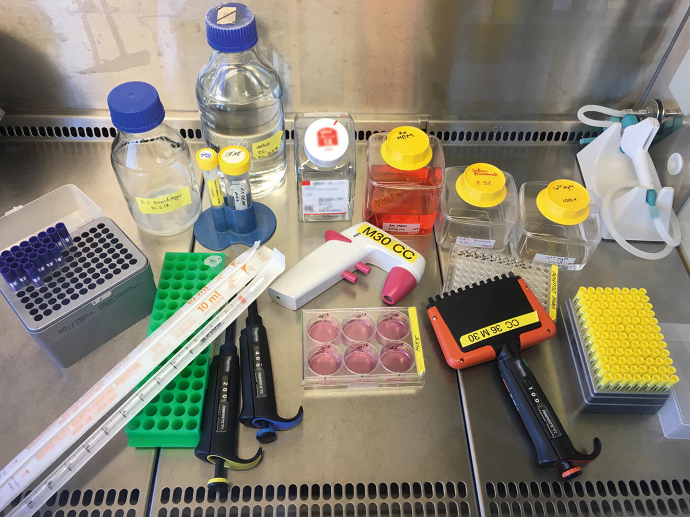 Propagation and Titration of Influenza Viruses | SpringerLink