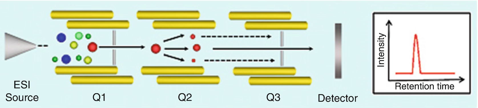 Targeted Proteomics | SpringerLink