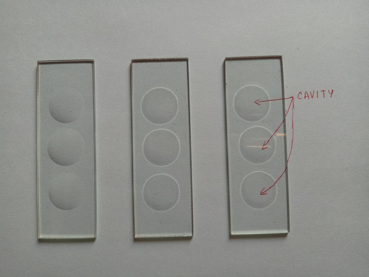 Motility Testing – Hanging Drop Method and Stab | SpringerLink