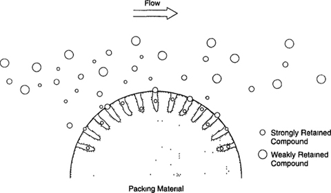 Isolation by Low-Pressure Column Chromatography | SpringerLink