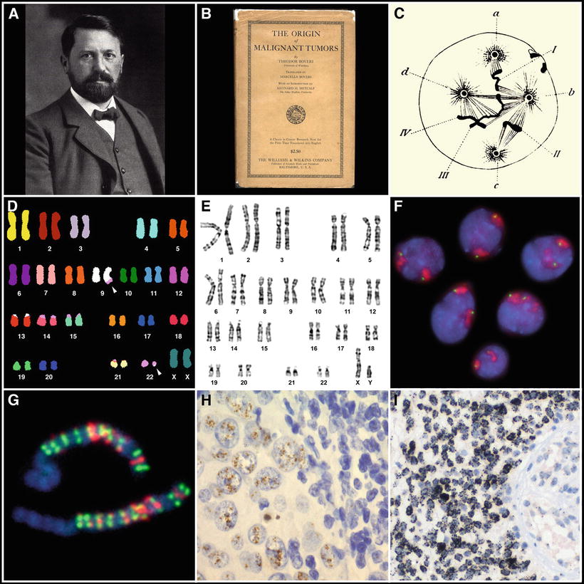 Cancer Cytogenetics | SpringerLink