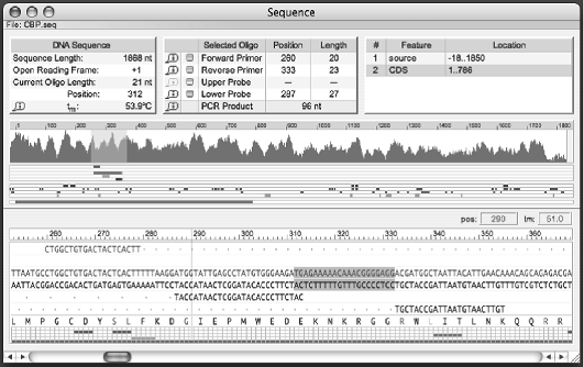 OLIGO 7 Primer Analysis Software | SpringerLink