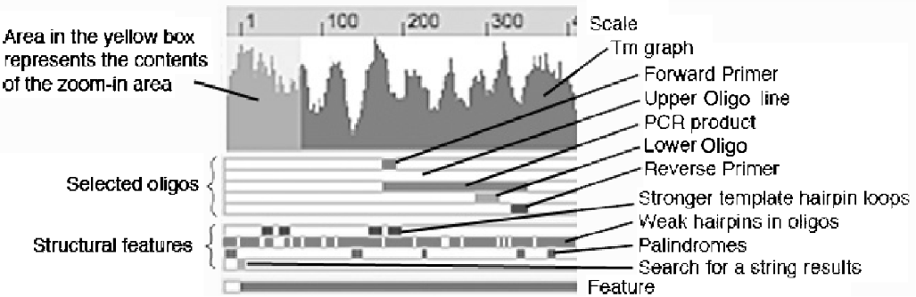 OLIGO 7 Primer Analysis Software | SpringerLink