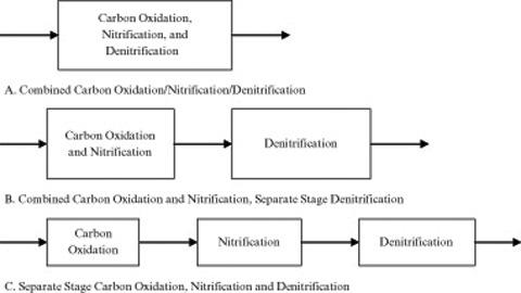 Biological Nitrification and Denitrification Processes | SpringerLink