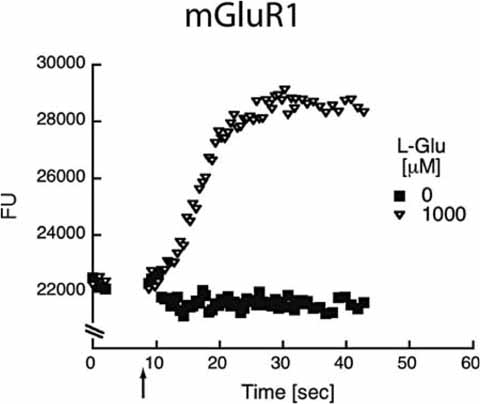 FLIPR® Assays of Intracellular Calcium in GPCR Drug Discovery ...
