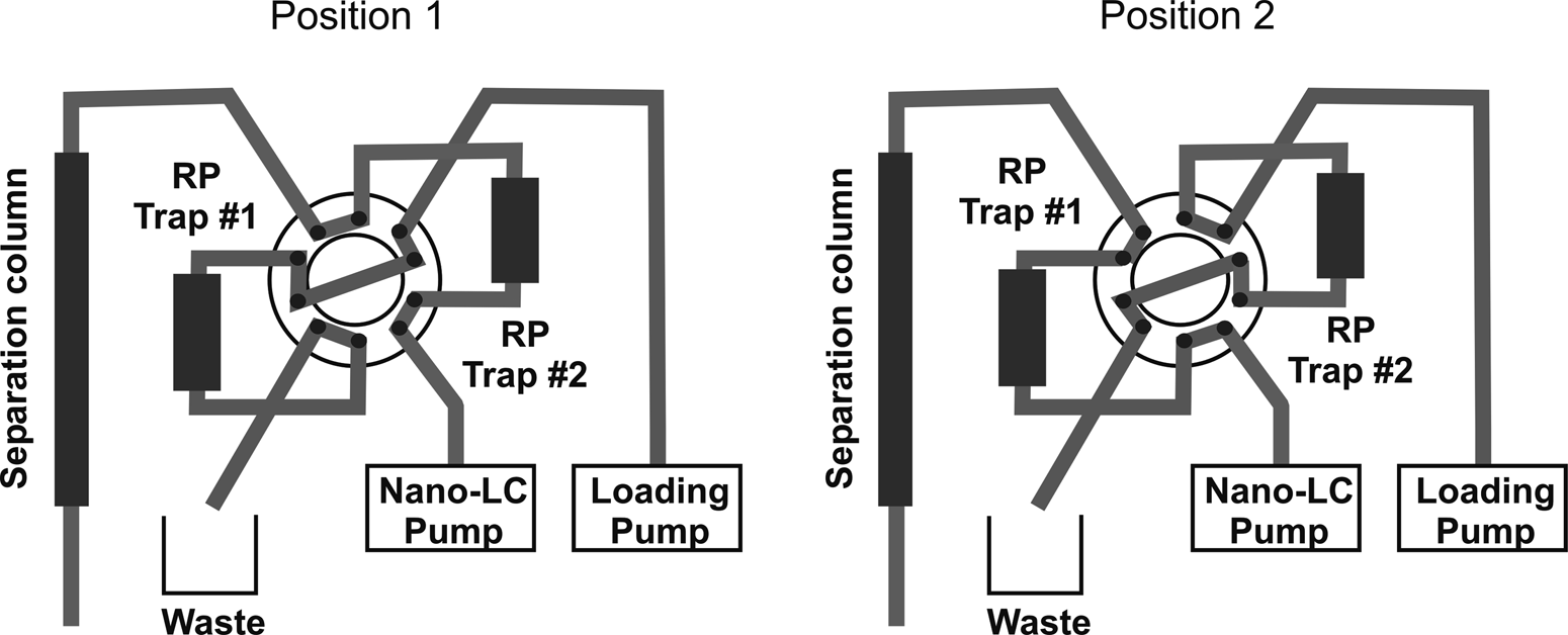 A Newcomer’s Guide to Nano-Liquid-Chromatography of Peptides | SpringerLink