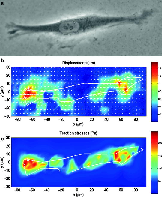 Application of Cell Traction Force Microscopy for Cell Biology Research ...