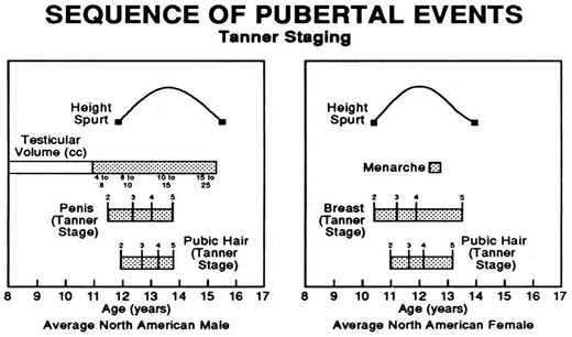 Precocious Puberty: Clinical Management | SpringerLink