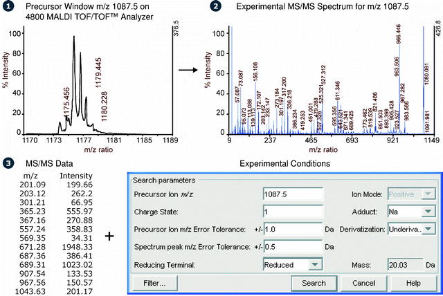 Bioinformatics in Glycomics: Glycan Characterization with Mass ...