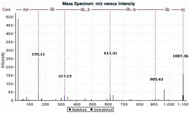 Bioinformatics in Glycomics: Glycan Characterization with Mass ...