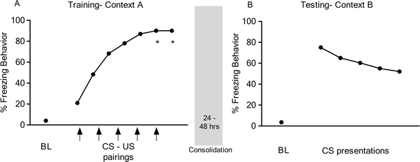 Fear Conditioning and Extinction as a Model of PTSD in Mice | SpringerLink