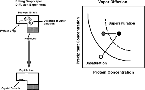Protein Crystallization for Structure-Based Drug Design | SpringerLink