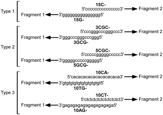 Fusion PCR via Novel Overlap Sequences | SpringerLink