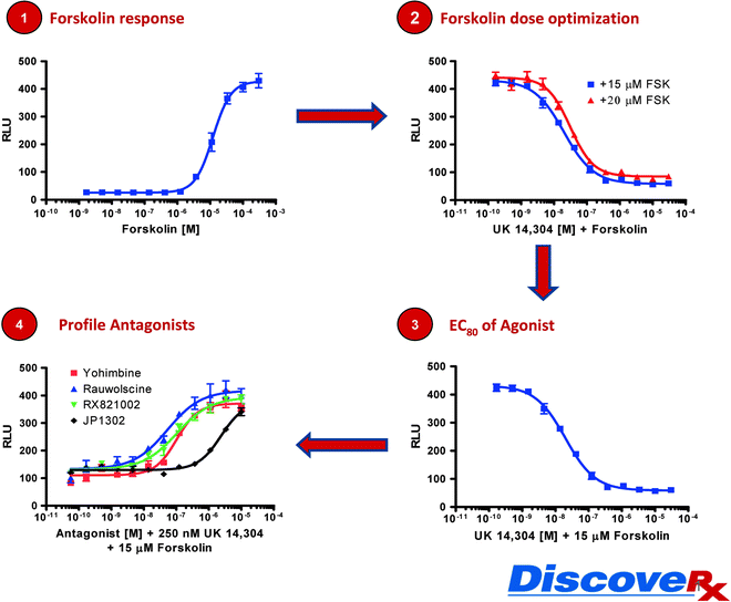 Characterization of G-Protein Coupled Receptor Modulators Using ...