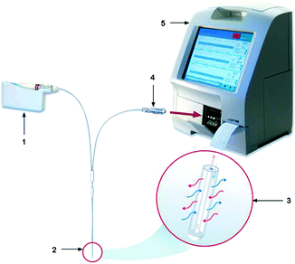 Cerebral Microdialysis: Research Technique or Clinical Tool? | SpringerLink