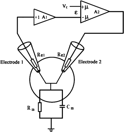 Two-Electrode Voltage Clamp | SpringerLink