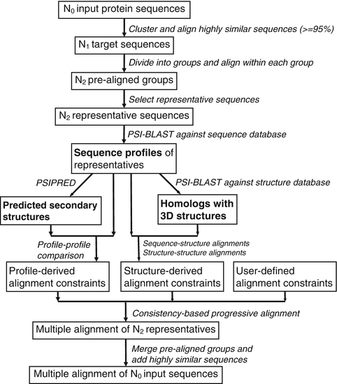 PROMALS3D: Multiple Protein Sequence Alignment Enhanced with Evolutionary and Three-Dimensional ...