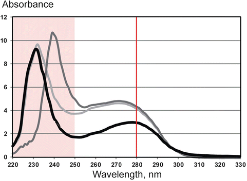 Insoluble Protein Purification with Sarkosyl: Facts and Precautions ...