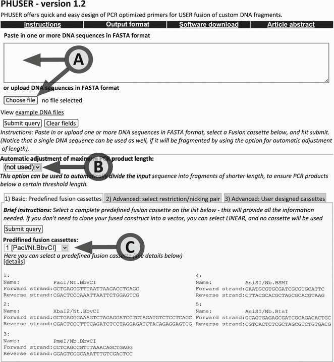 USER-Derived Cloning Methods and Their Primer Design | SpringerLink