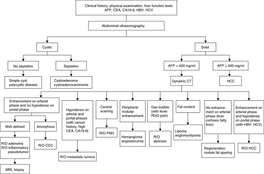 Differential Diagnosis of the Liver Mass | SpringerLink