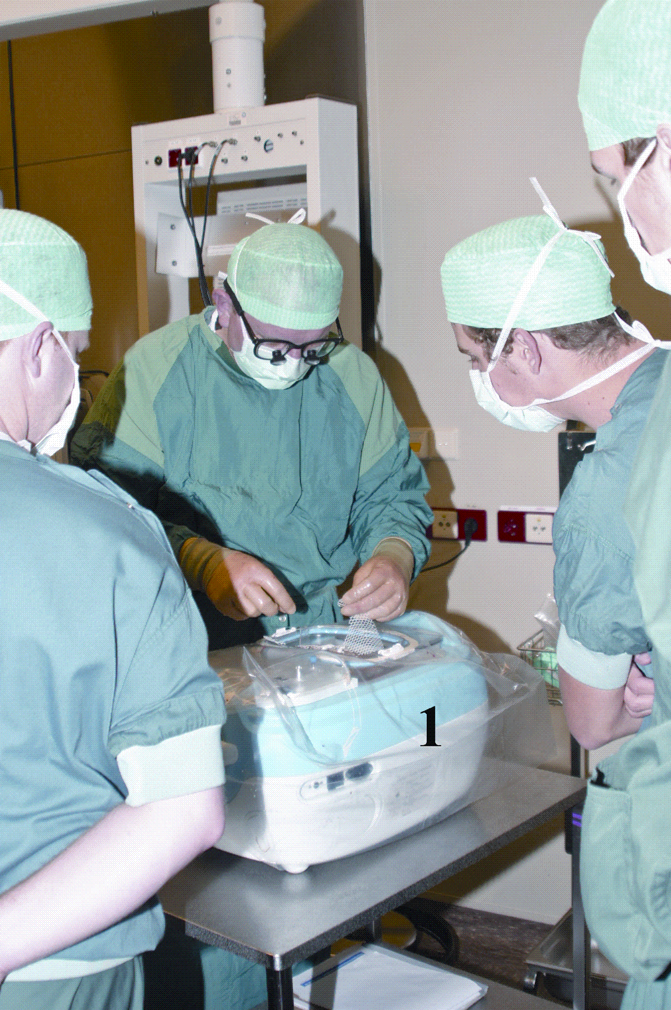 Organ Packing | SpringerLink