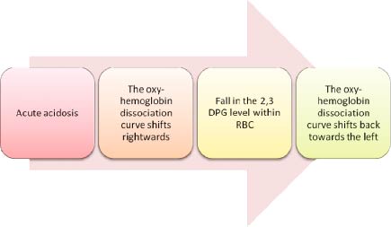 Respiratory Acidosis | SpringerLink