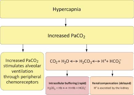Respiratory Acidosis | SpringerLink