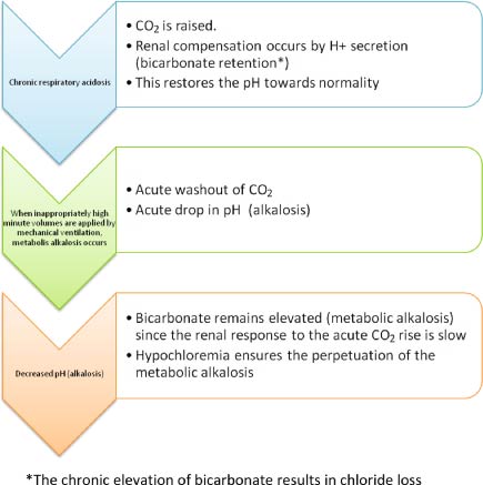 Respiratory Acidosis | SpringerLink