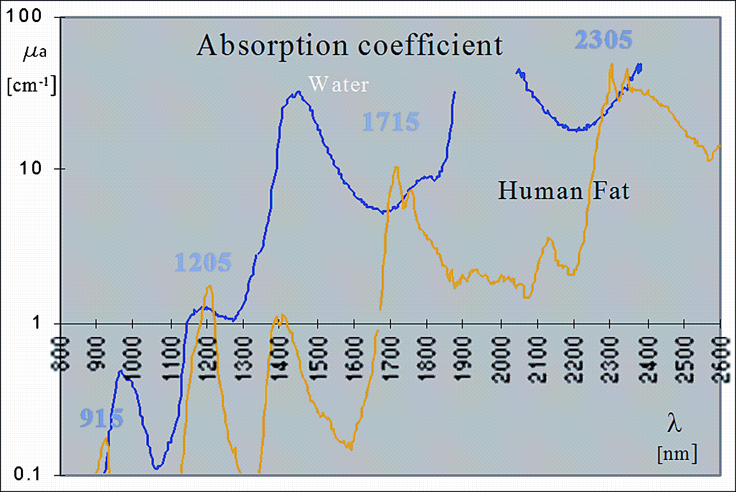 Principles of Light-Skin Interactions | SpringerLink