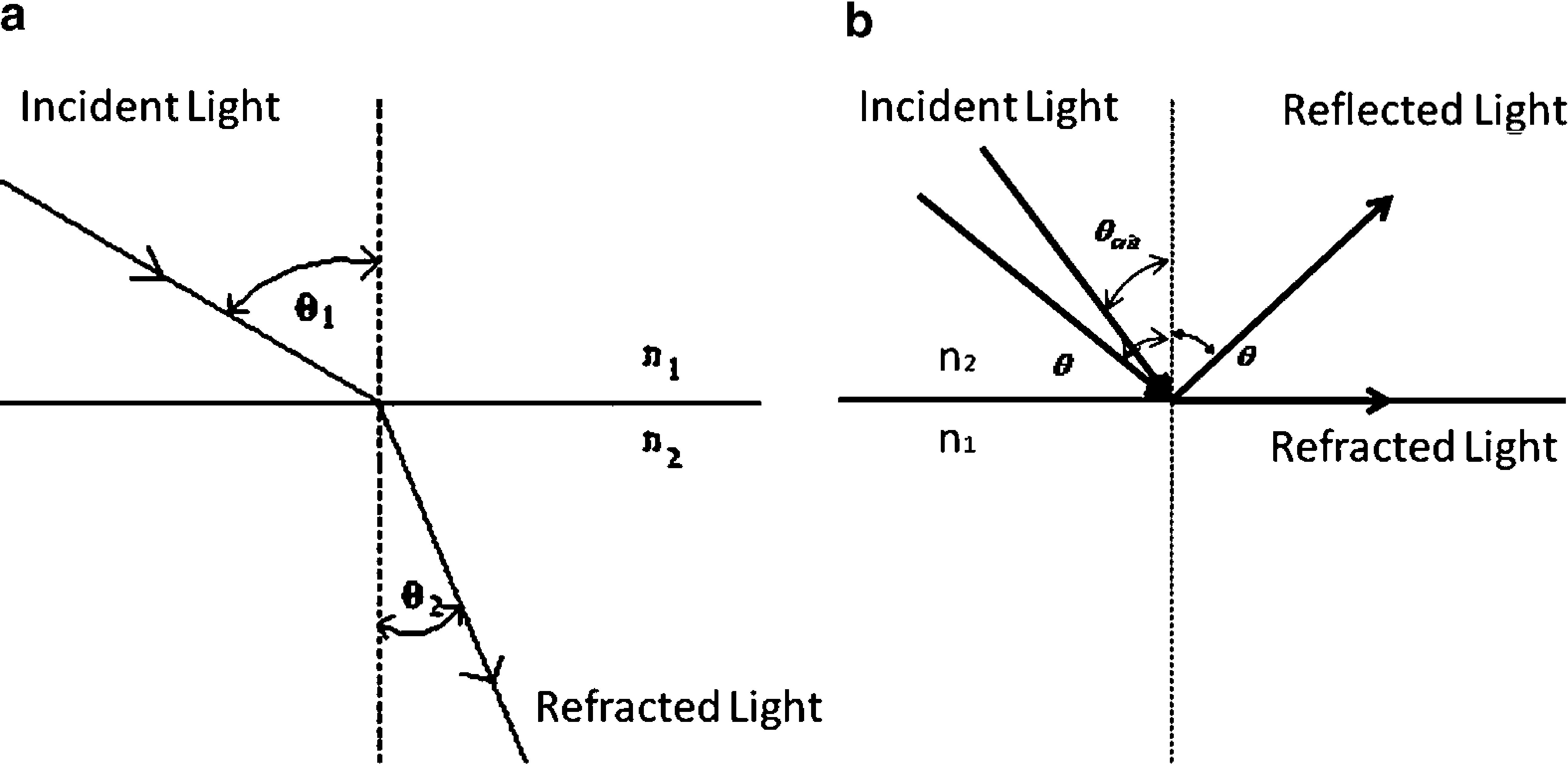 Principles of Light-Skin Interactions | SpringerLink