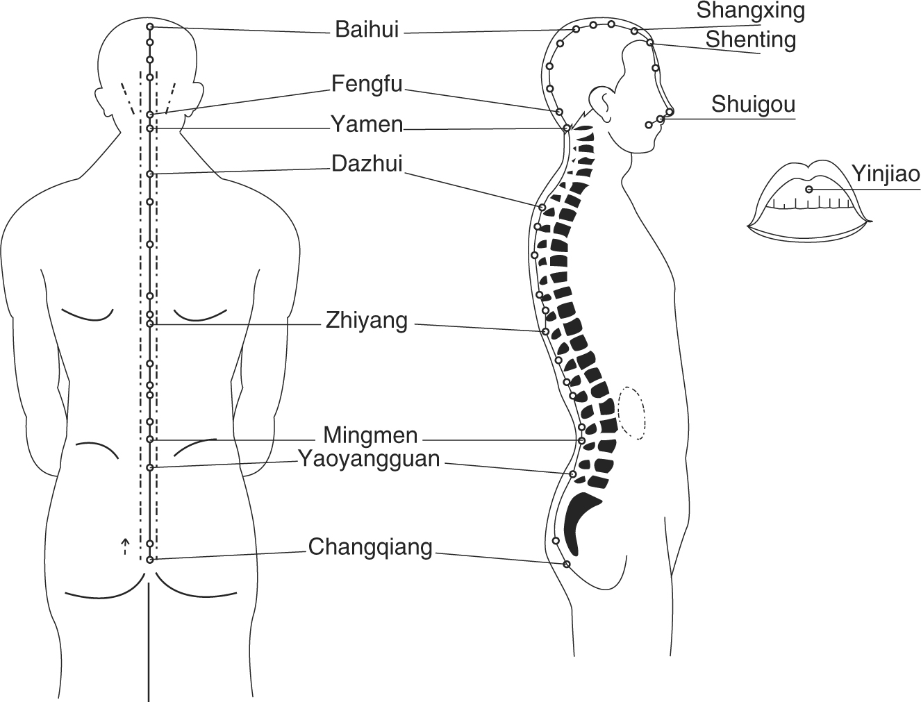 Descriptions of Specific Acupoints | SpringerLink