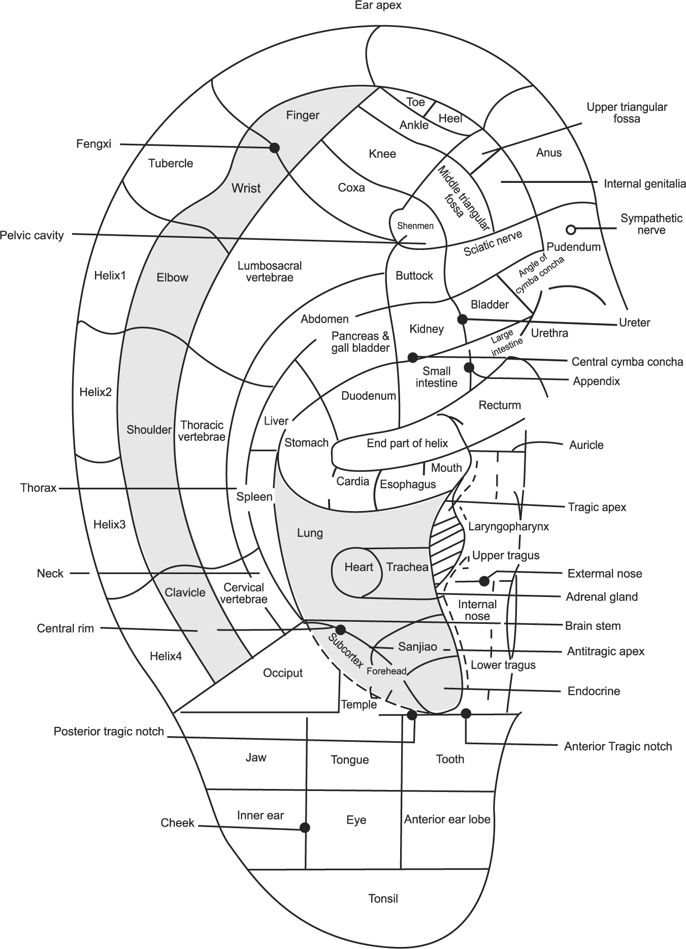 Techniques of Acupuncture and Moxibustion | SpringerLink